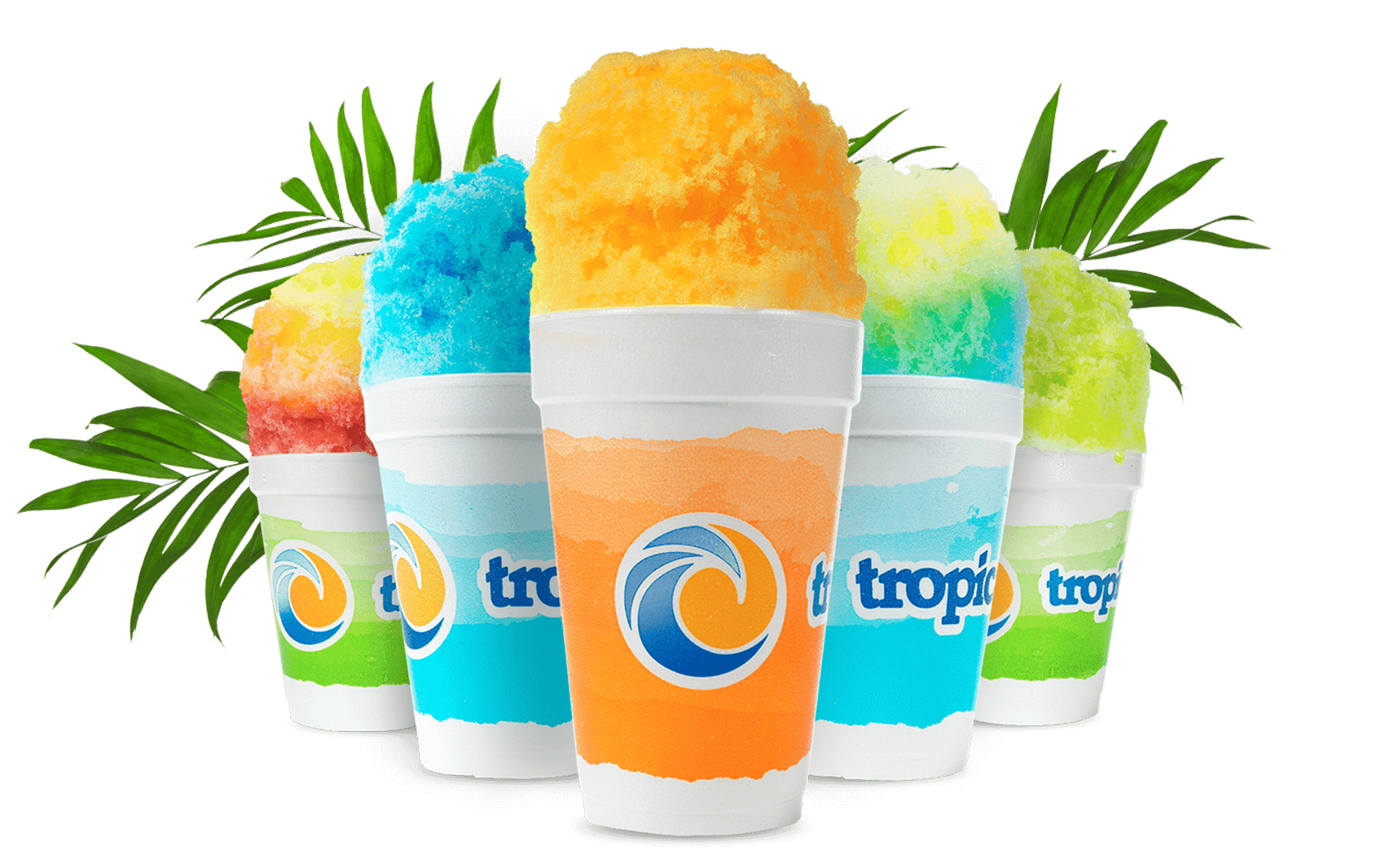 Products - Tropical Sno