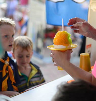 Products - Tropical Sno